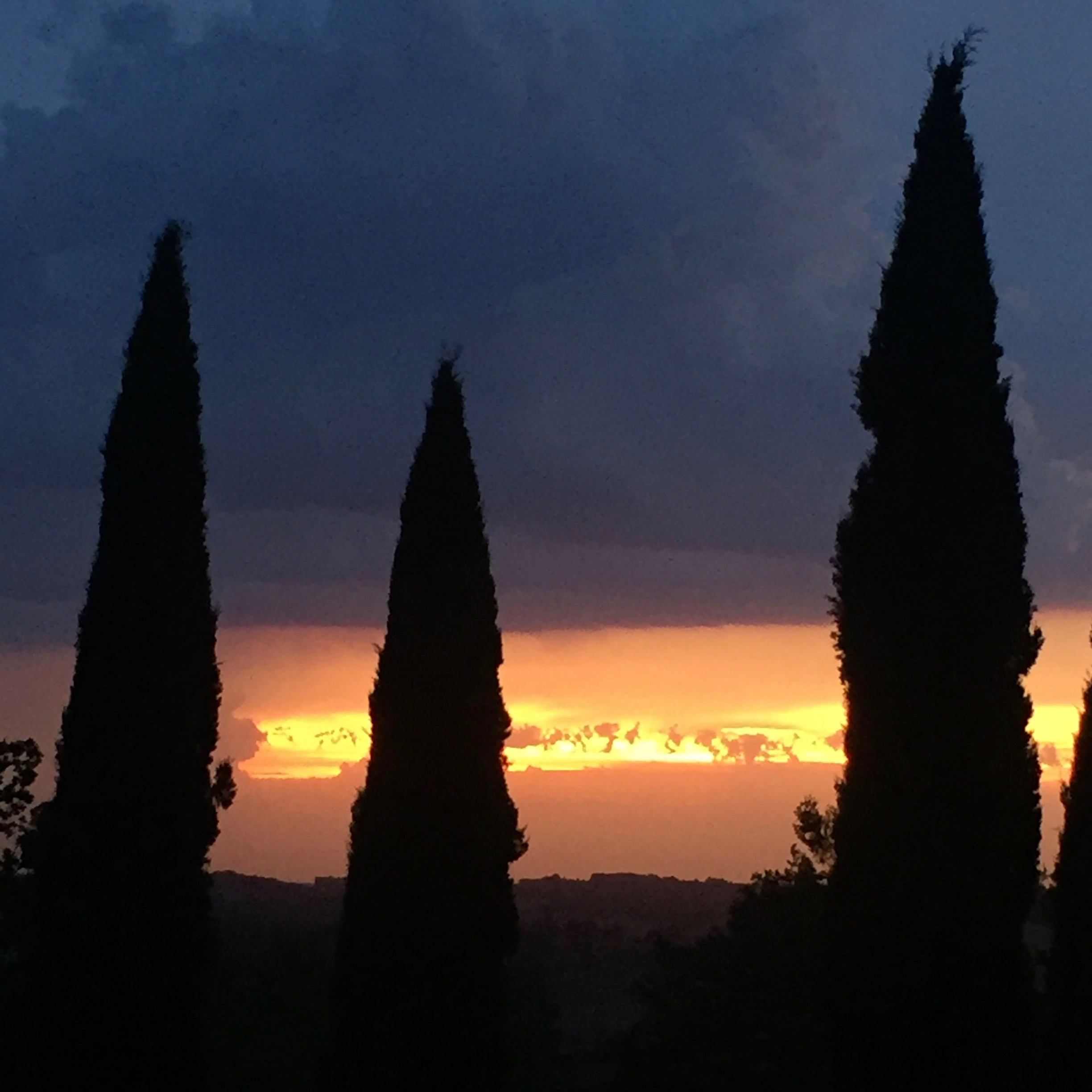 Workshops & Retreats 2019 | Into the light